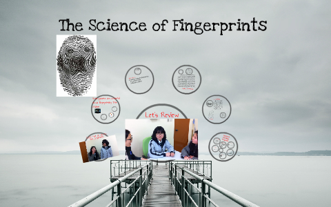 The Science of Fingerprints by Bokyung Ko on Prezi