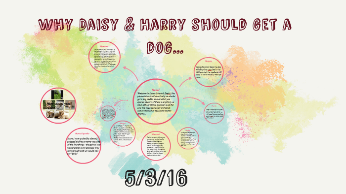 Why Daisy & Harry should get a dog... by Daisy Cartwright on Prezi