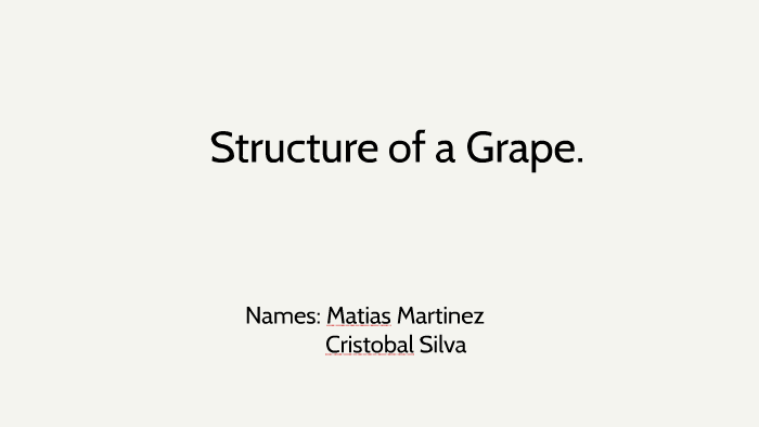 structure of a grape. by cristobal silva on Prezi
