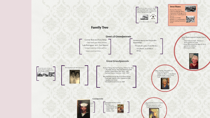 Family Tree by Kristin nelson
