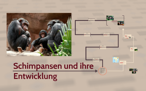 Schimpansen und ihre Entwicklung by Lana Timm on Prezi