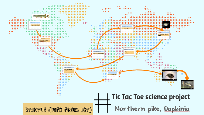 Tic Tac Toe science project by kyle fung on Prezi