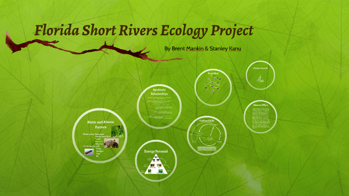 Florida Short Rivers Ecology Project by Brent Mankin on Prezi