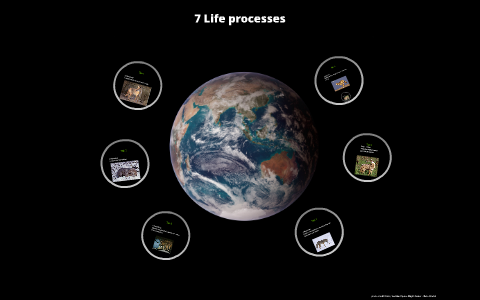 7 Life processes by on Prezi