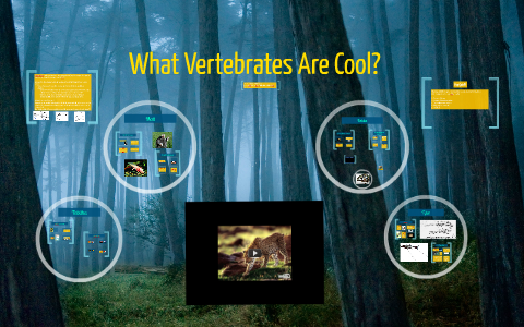 BIO 303H Honors Project-Matt Hapstack; Krista Potthast, Tabitha Banks ...