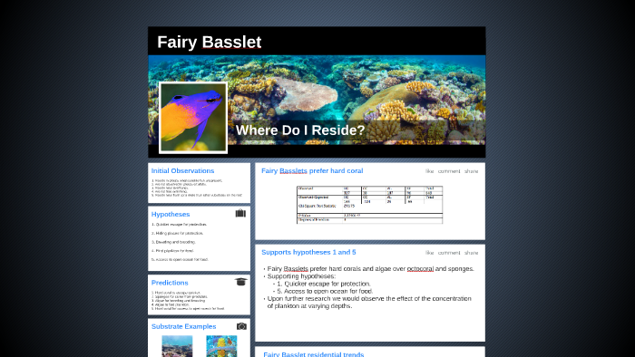 Fairy Basslet by Nicole Bahl on Prezi