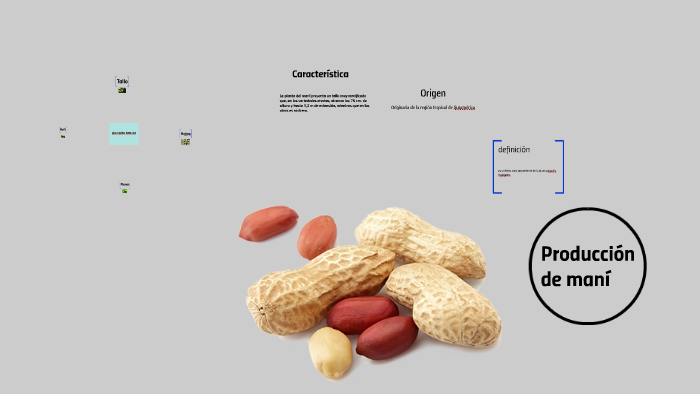 produccion de mani by mauro ayala on Prezi