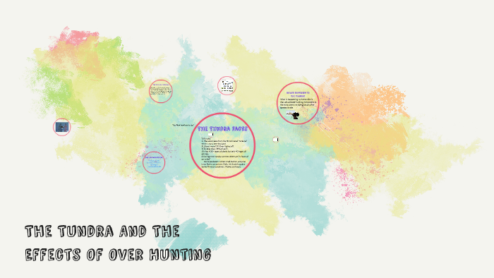 Tundra And The Effects Of Over Hunting by Michael Collins on Prezi
