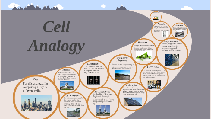 Cell Analogy Project by Grady OConnor