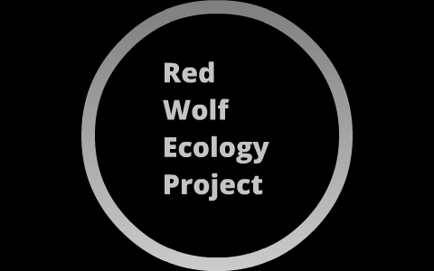 Red Wolf Project by Kangaroo Eaters on Prezi