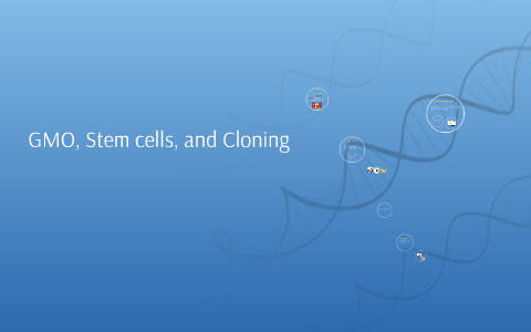 GMO, Stem cells, and Cloning by Emma Pleasants