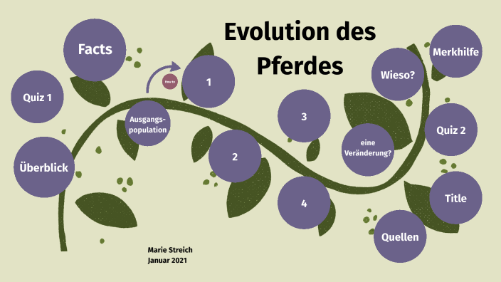 Evolution des Pferdes by Marie Streich on Prezi