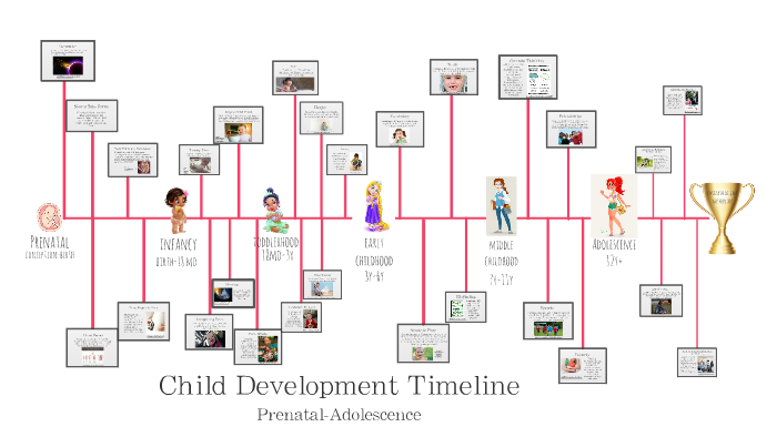 child development timeline by aubree powell on Prezi