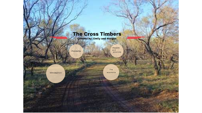 Cross timbers Ecosystem by Emily Hernandez on Prezi