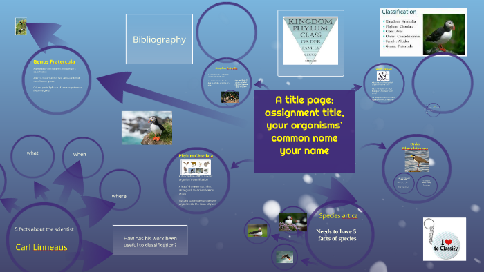 A title page: by on Prezi