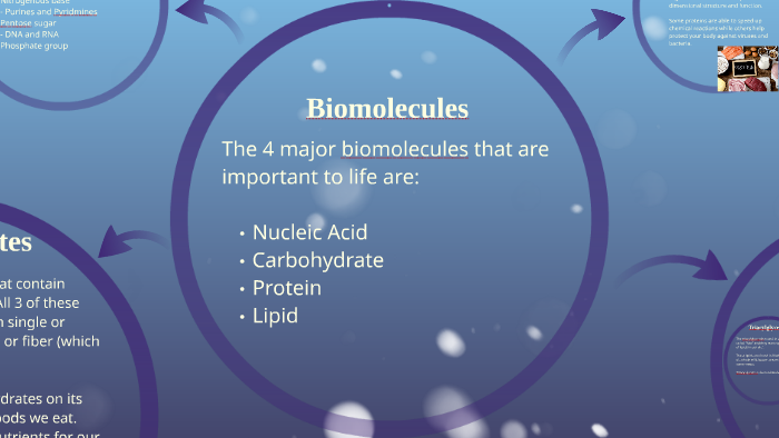 Map of Biomolecules by Joseph Brown