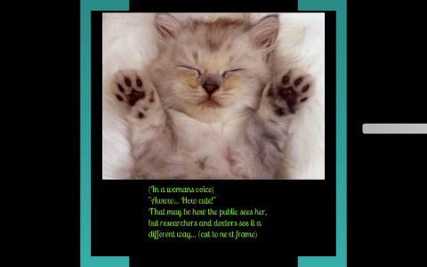 Animal Testing Advert Storyboard by Cthulhu Kenithson on Prezi