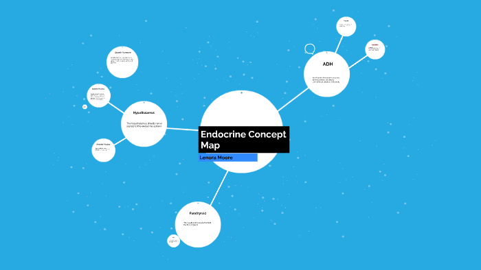 Endocrine Concept Map by Lenora Moore on Prezi