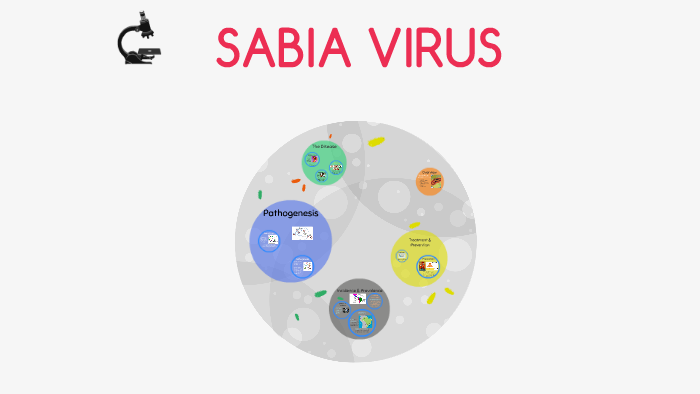 The Sabia Virus by Rhea Guevara on Prezi