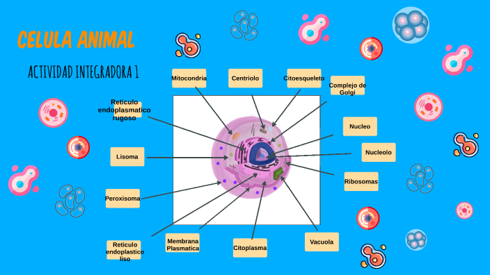 Actividad Integradora Biologia de la salud by Fani Rangel on Prezi
