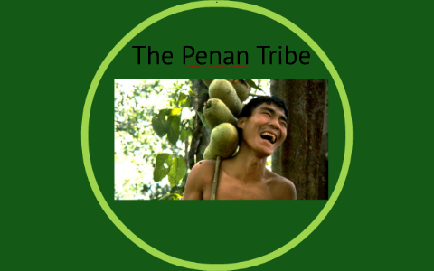The Penan Tribe by lindsay fuller on Prezi
