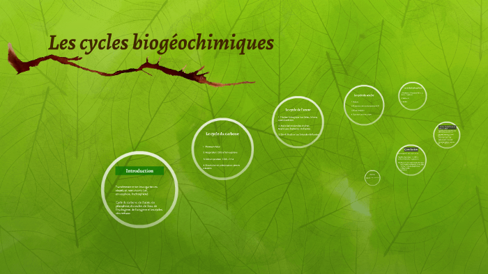 Les cycles biogéochimiques by Alicia S on Prezi
