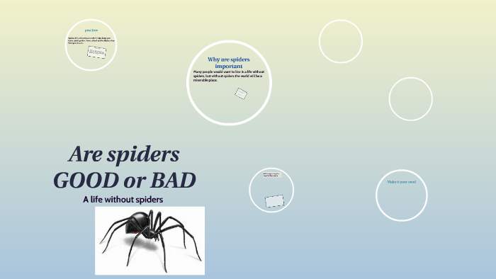 Are spiders GOOD or BAD by Janae stevens on Prezi