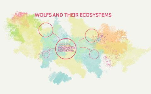 WOLFS AND THEIR ECOSYSTEMS by Hillary Tawiah-Fianko on Prezi