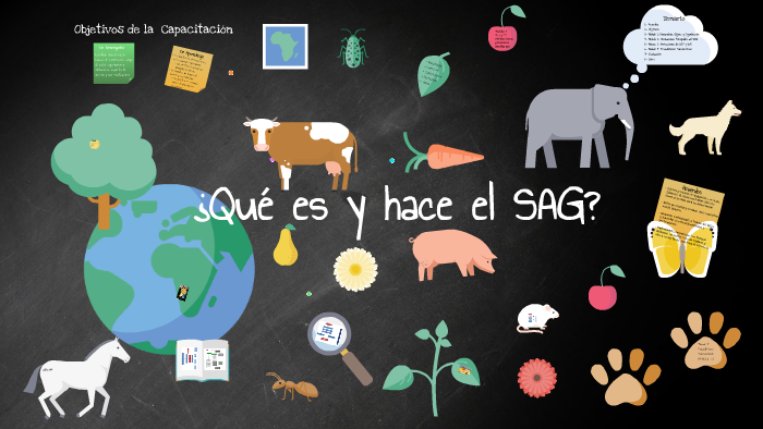 ¿Qué es y hace el SAG? by FRANCISCO OLIVARES MUÑOZ on Prezi