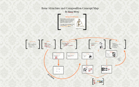 Bone Structure and Composition Concept Map by Xiaoyi Wang on Prezi