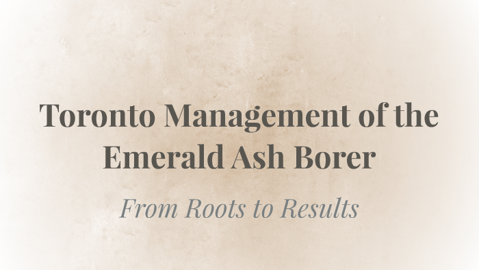 Management of Emerald Ash Borer in Toronto by Danielle Smalling on Prezi