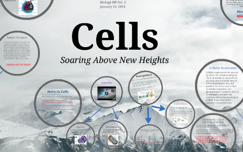 Cells Per. 2 Christian Kontaxis by Christian Kontaxis on Prezi