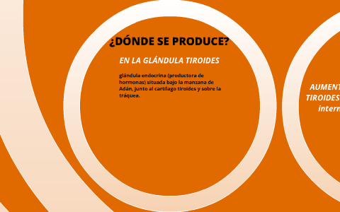 BOCIO EXOFTÁLMICO by Maria Aros on Prezi