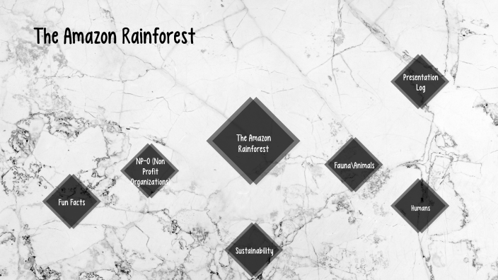 The Amazon Rainforest by Adam Conlon on Prezi