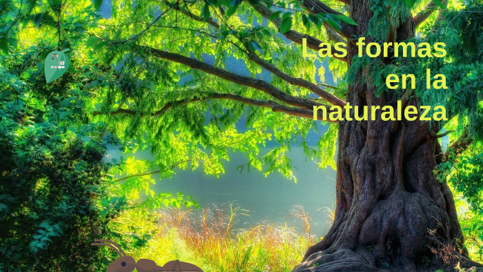 Las formas en la naturaleza by Dan C on Prezi