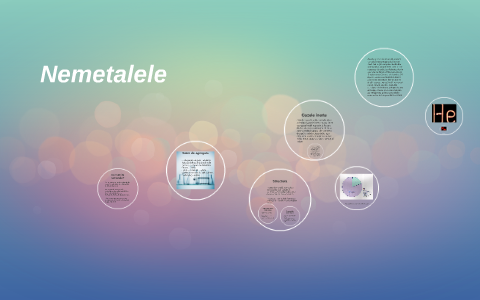 Nemetalele by Liza Zaidman on Prezi
