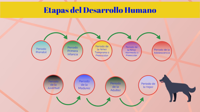 etapas de desarrollo humano by Moises Reynoso on Prezi