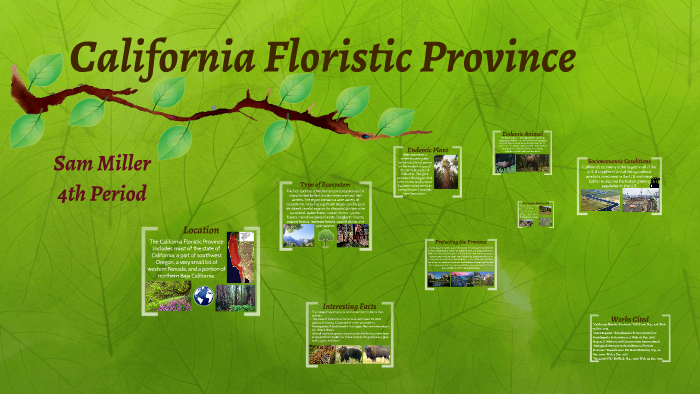 California Floristic Province by SAM MILLER on Prezi