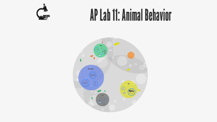 AP Lab 11: Animal Behavior by hannah baggett on Prezi