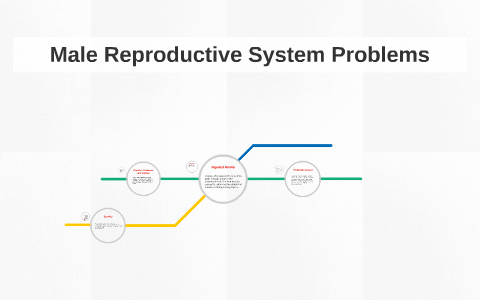 Male Reproductive System Problems by Jamie Satre on Prezi