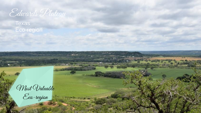 Texas Ecoregion Edwards Plateau by Izabella Jordan on Prezi
