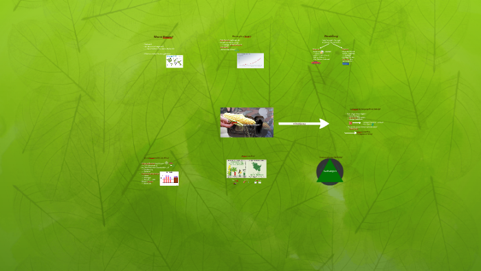 Biosprit by on Prezi
