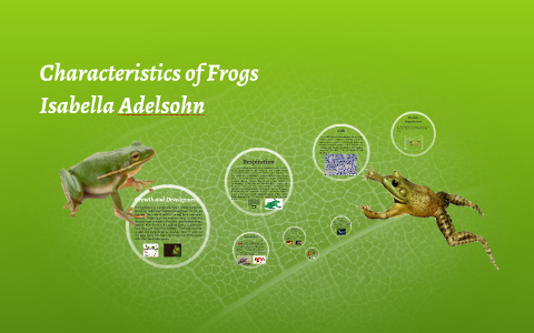 Characterisitcs of Frogs by Isabella Adelsohn on Prezi