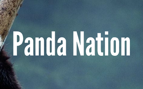 Panda Nation by on Prezi