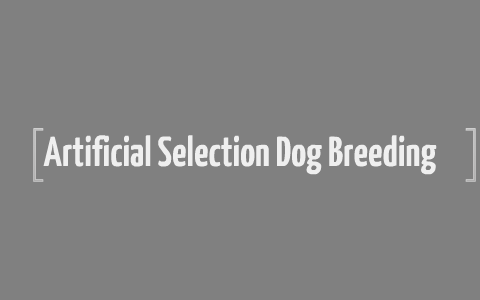 artificial selection dog breeding by haris hamidovic on Prezi