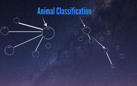 Animal Classification by Garry Ablett on Prezi