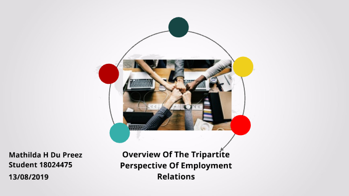 Tripartite Perspective Of Employment Relations. by Mathilda Du Preez on ...