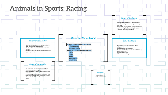 Animals in Sports: Racing by Rhett Dailey on Prezi