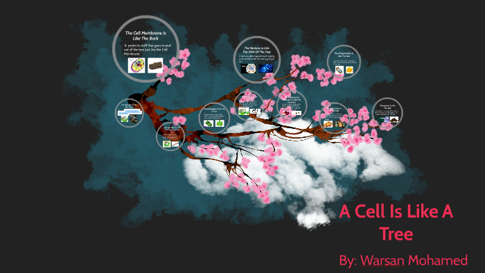 Cell Tree Analogy by Warsan Mohamed on Prezi