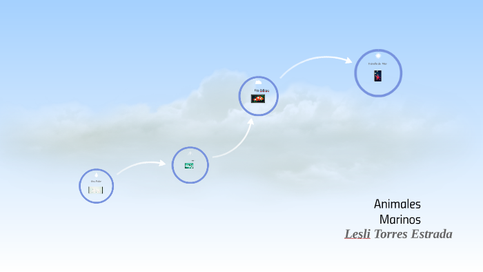 Animales Marinos by lesli torres